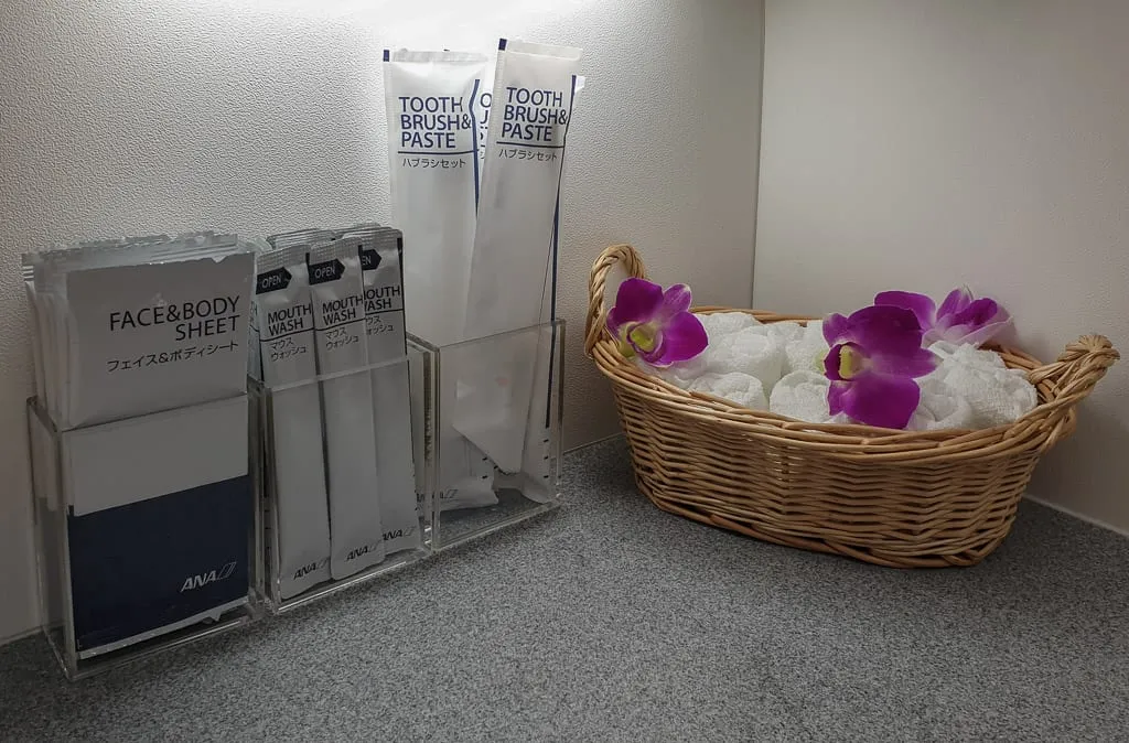 REVIEW: ANA – New First Class “The Suite” – Tokyo HND to London LHR ...