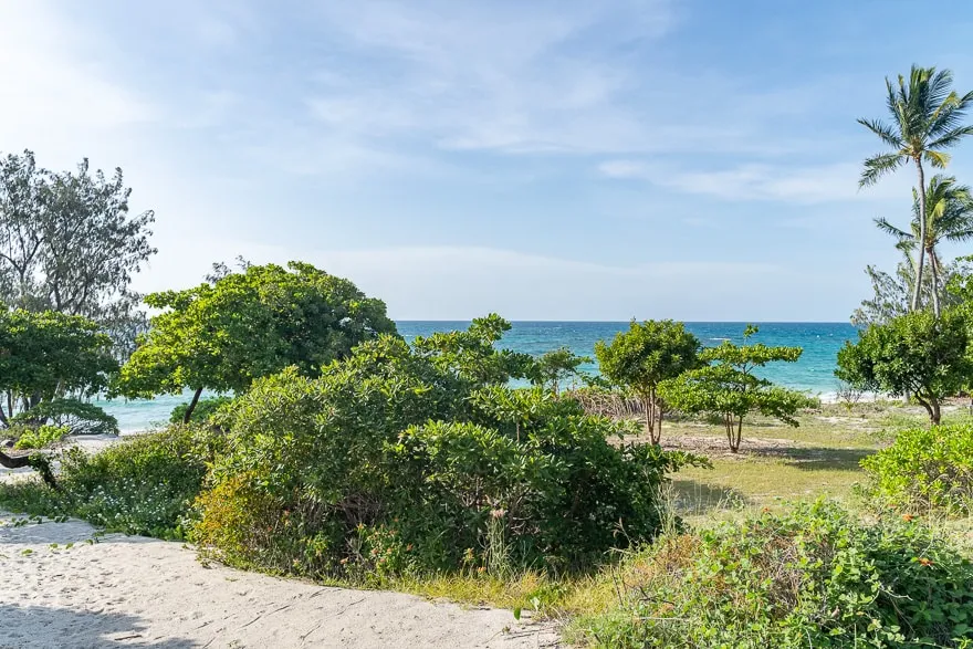 REVIEW: Lizard Island, Great Barrier Reef – The Luxury Traveller