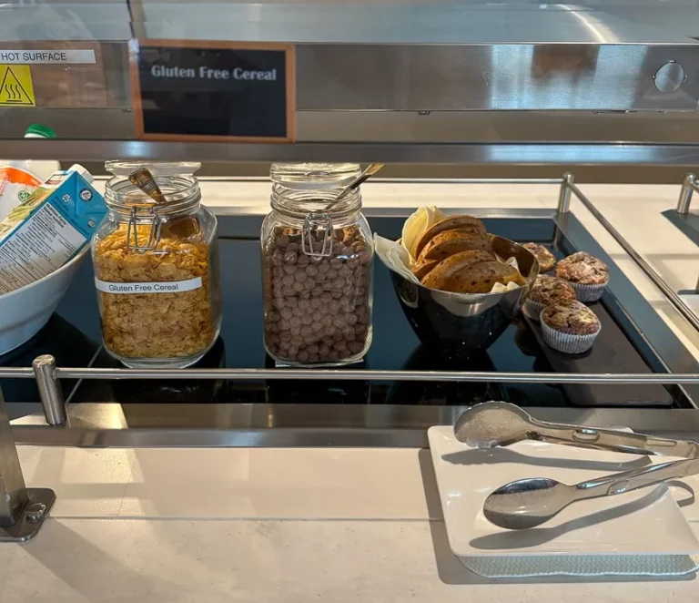 REVIEW: Swan Hellenic Antarctica Cruise – The Luxury Traveller