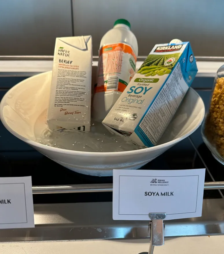 REVIEW: Swan Hellenic Antarctica Cruise – The Luxury Traveller