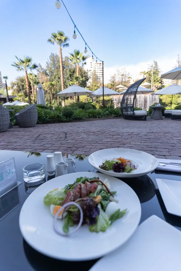 REVIEW: Mandarin Oriental Santiago – The Luxury Traveller