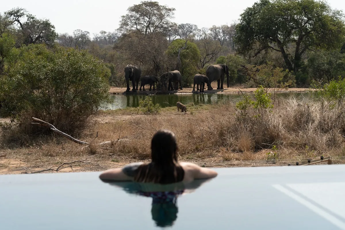 REVIEW: Monwana Africa Safari – The Luxury Traveller