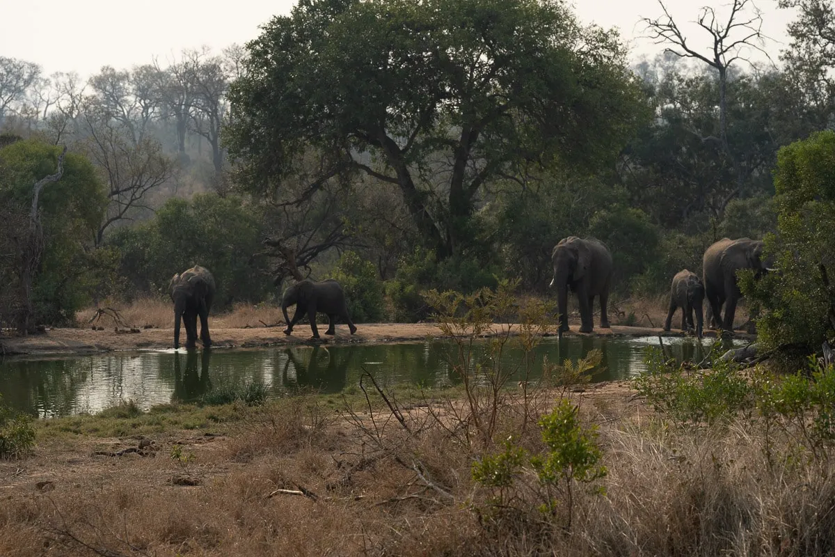 REVIEW: Monwana Africa Safari – The Luxury Traveller