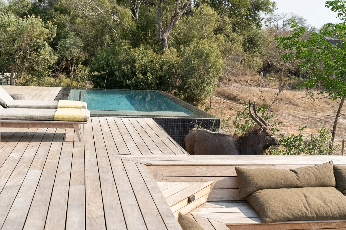 REVIEW: Monwana Africa Safari – The Luxury Traveller