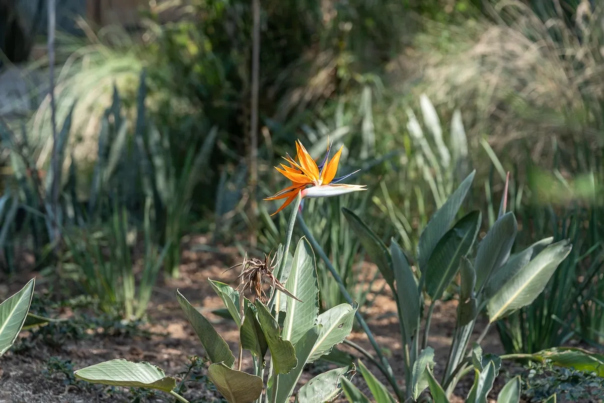 REVIEW: Monwana Africa Safari – The Luxury Traveller