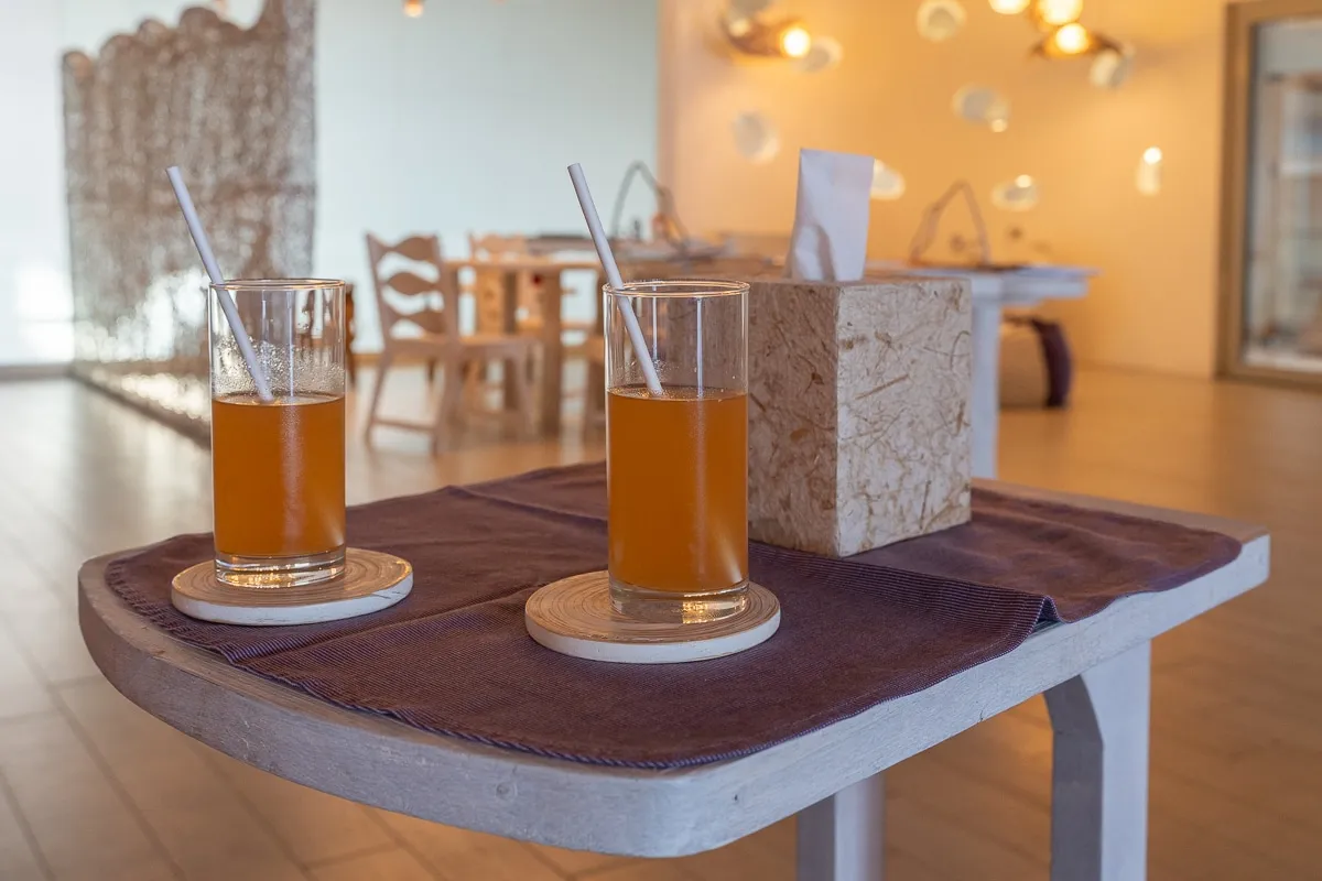 REVIEW: Soneva Jani – The Luxury Traveller