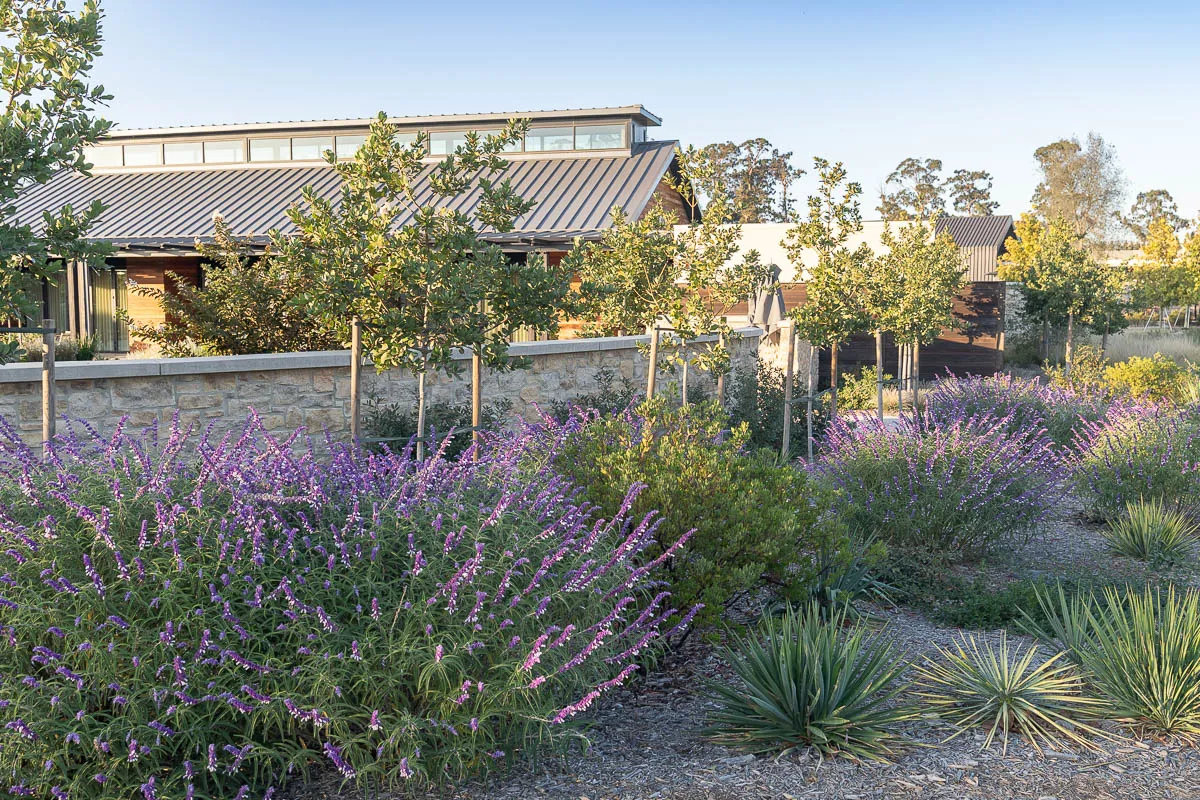 REVIEW: Stanly Ranch, Auberge Collection – The Luxury Traveller